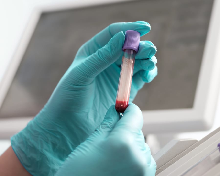 Veterinary Diagnostic Lab | New England Animal Hospital Veterinary Diagnostic Lab | New England Animal Hospital